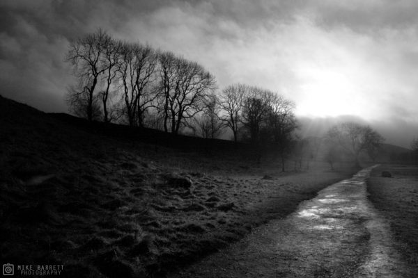 MONOCHROME